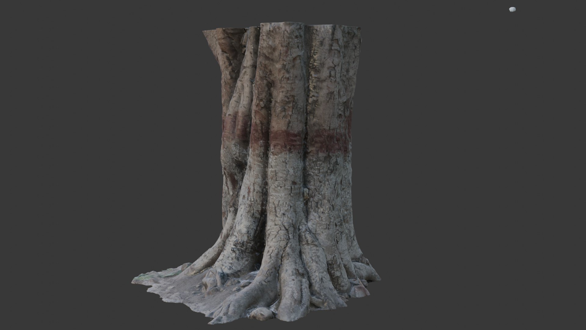 3D Tree Trunk 3D Scan - TurboSquid 2395518