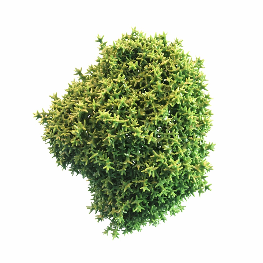 Moss Set Model - TurboSquid 1284472