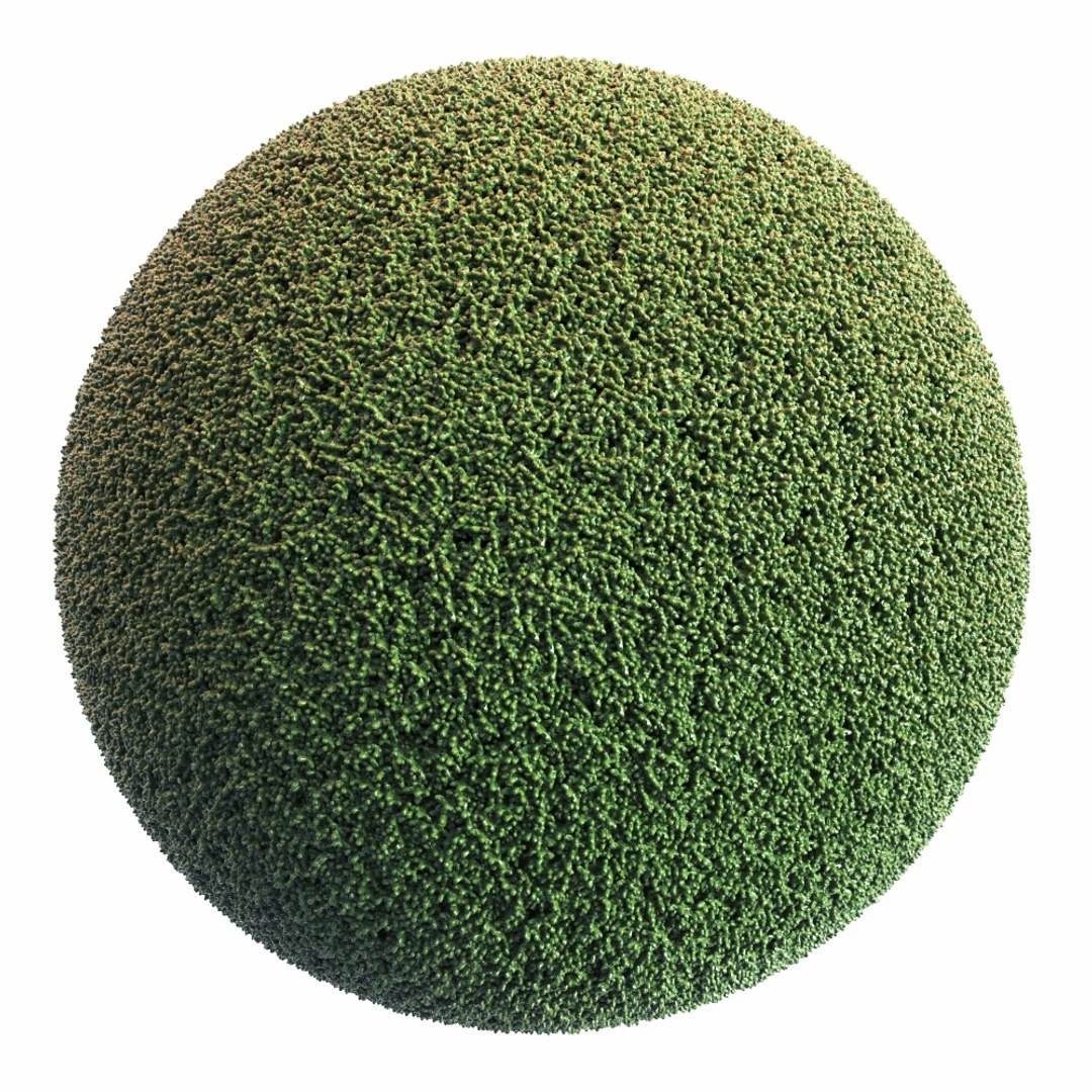 Moss Set Model - TurboSquid 1284472