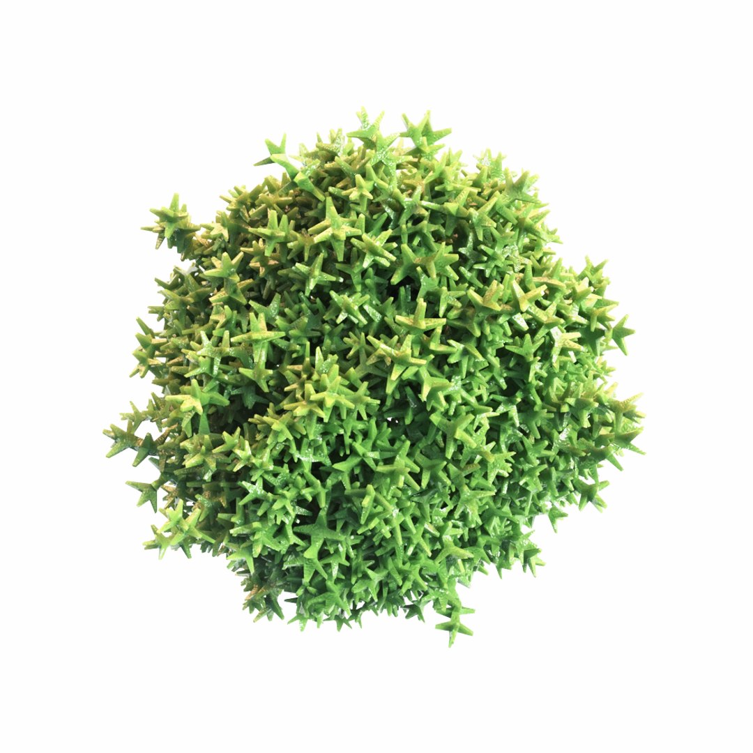 Moss Set Model - TurboSquid 1284472
