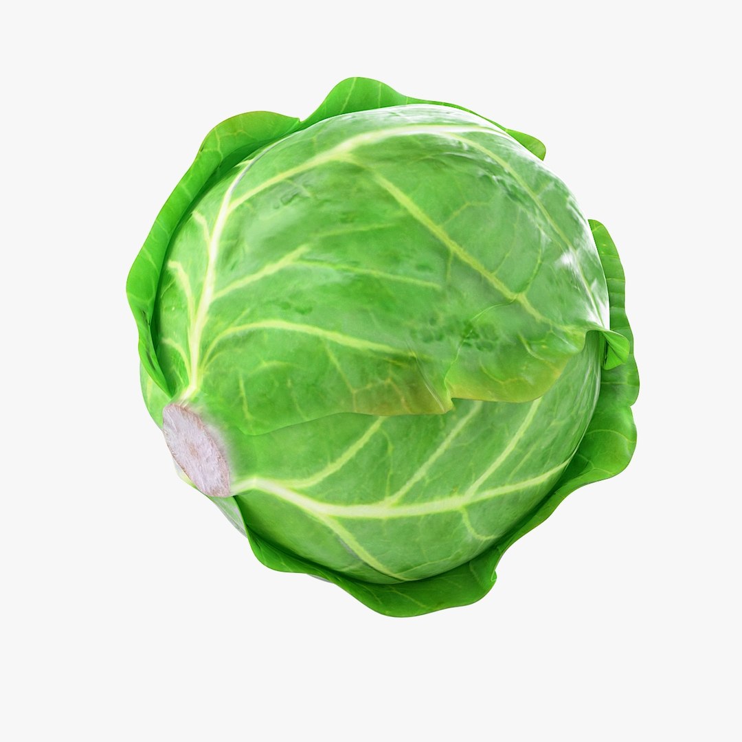 3D Cartoon Cabbage - TurboSquid 2078427