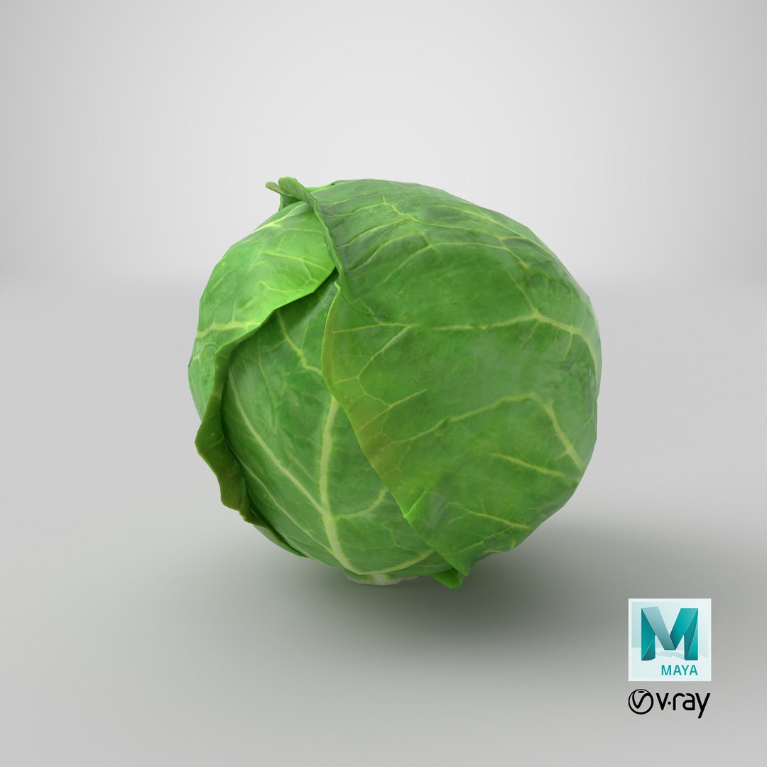 3D Cartoon Cabbage - TurboSquid 2078427