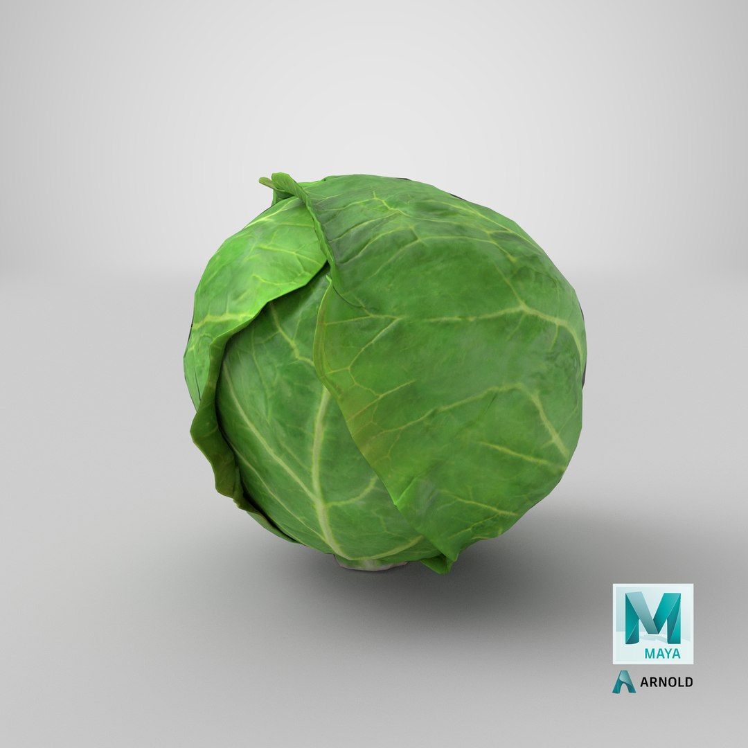 3D Cartoon Cabbage - TurboSquid 2078427
