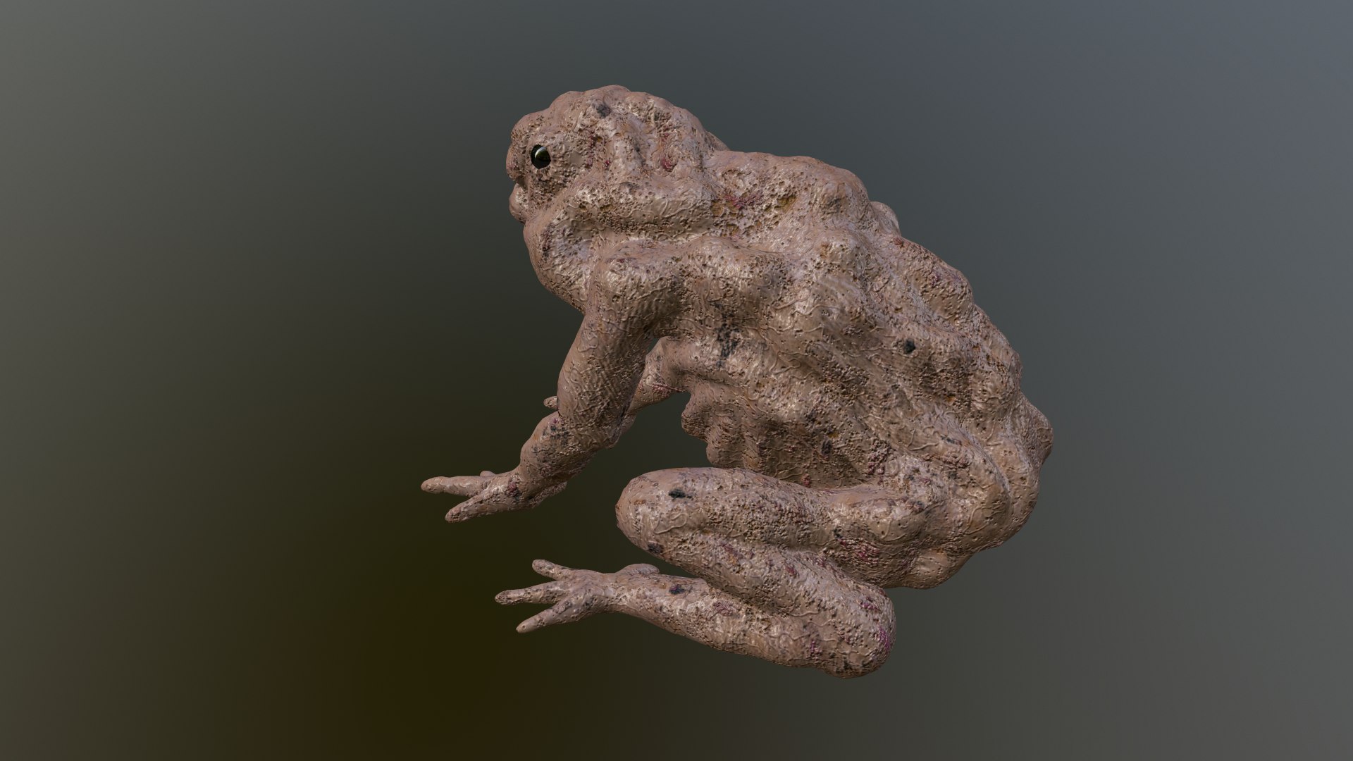 3D stylized frog - TurboSquid 1379223