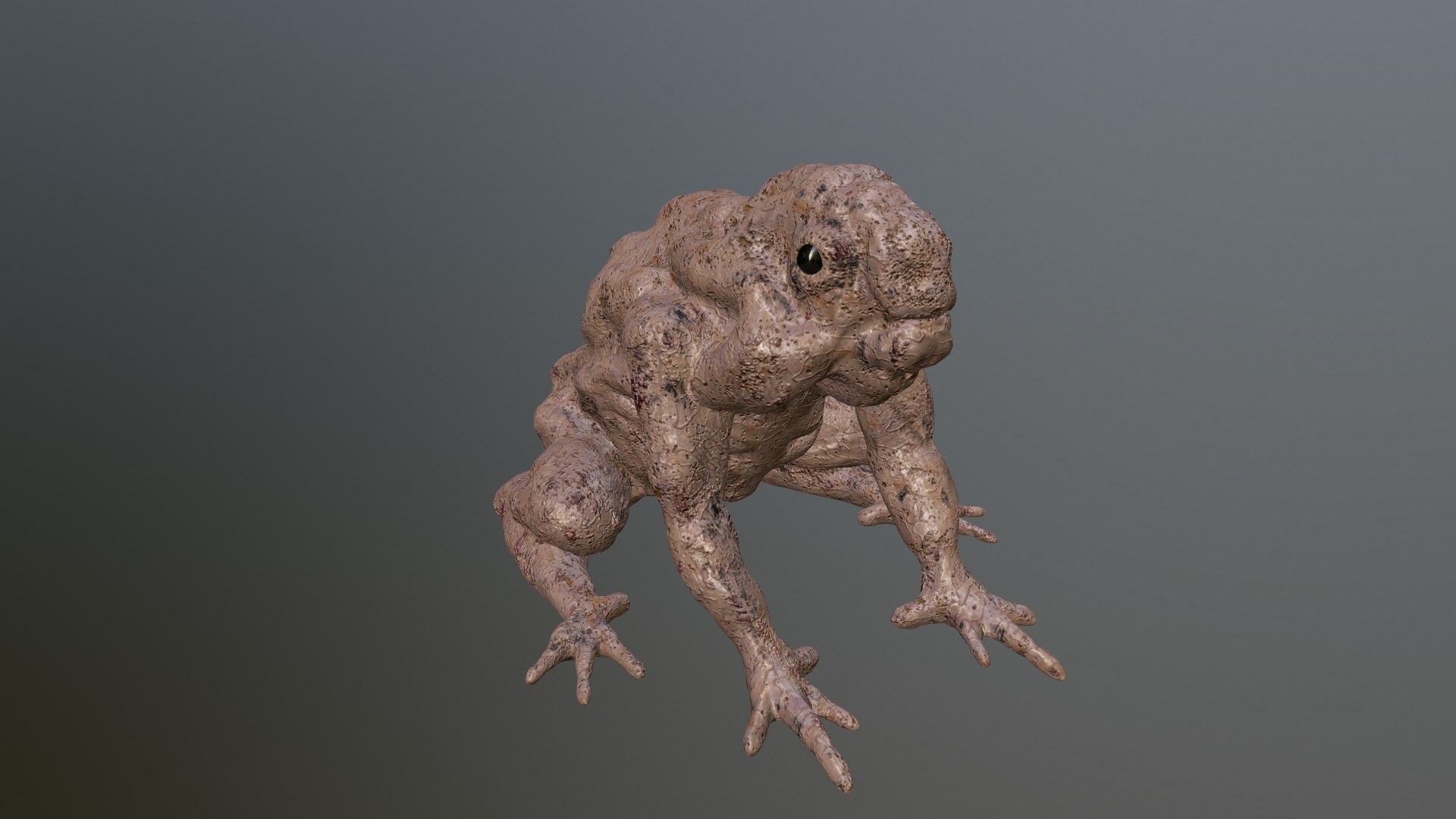 3D stylized frog - TurboSquid 1379223
