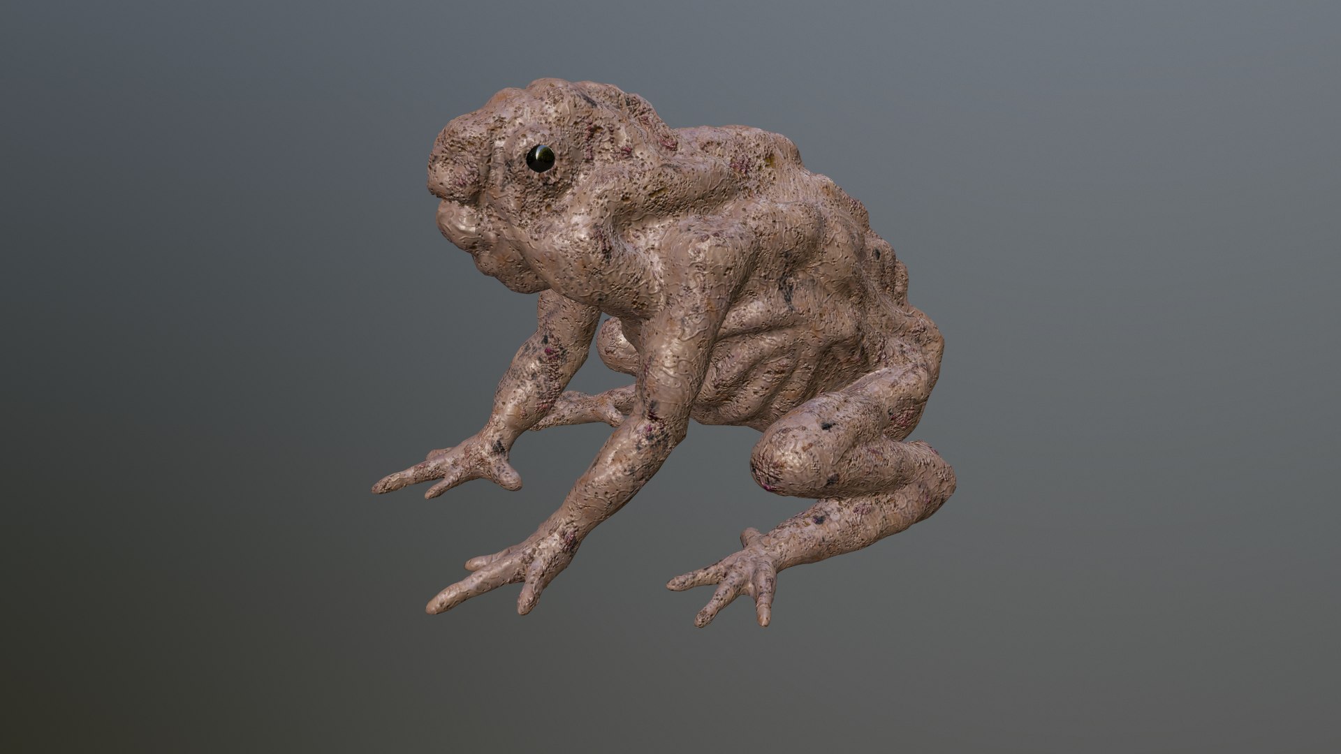 3D stylized frog - TurboSquid 1379223