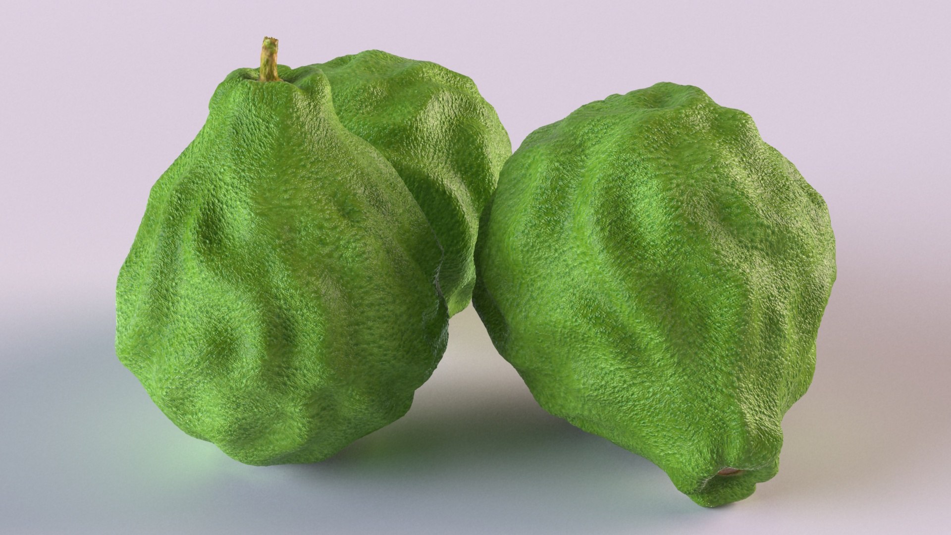 Lime Food Fruit 3D Model - TurboSquid 1685872