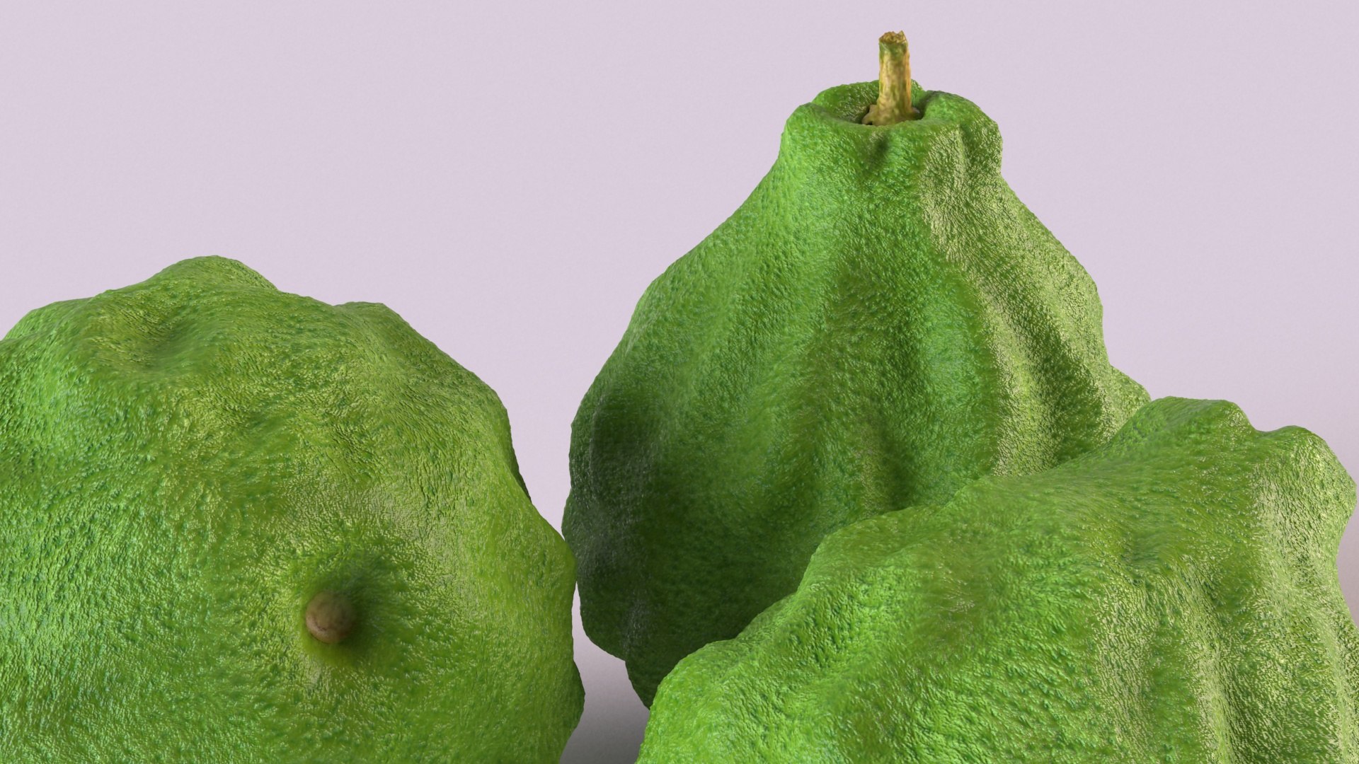 Lime Food Fruit 3D Model - TurboSquid 1685872