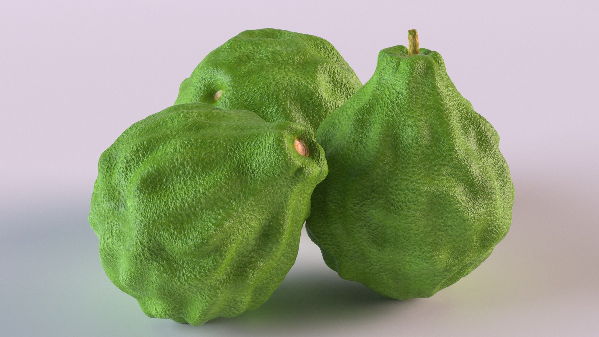 Lime Food Fruit 3D Model - TurboSquid 1685872