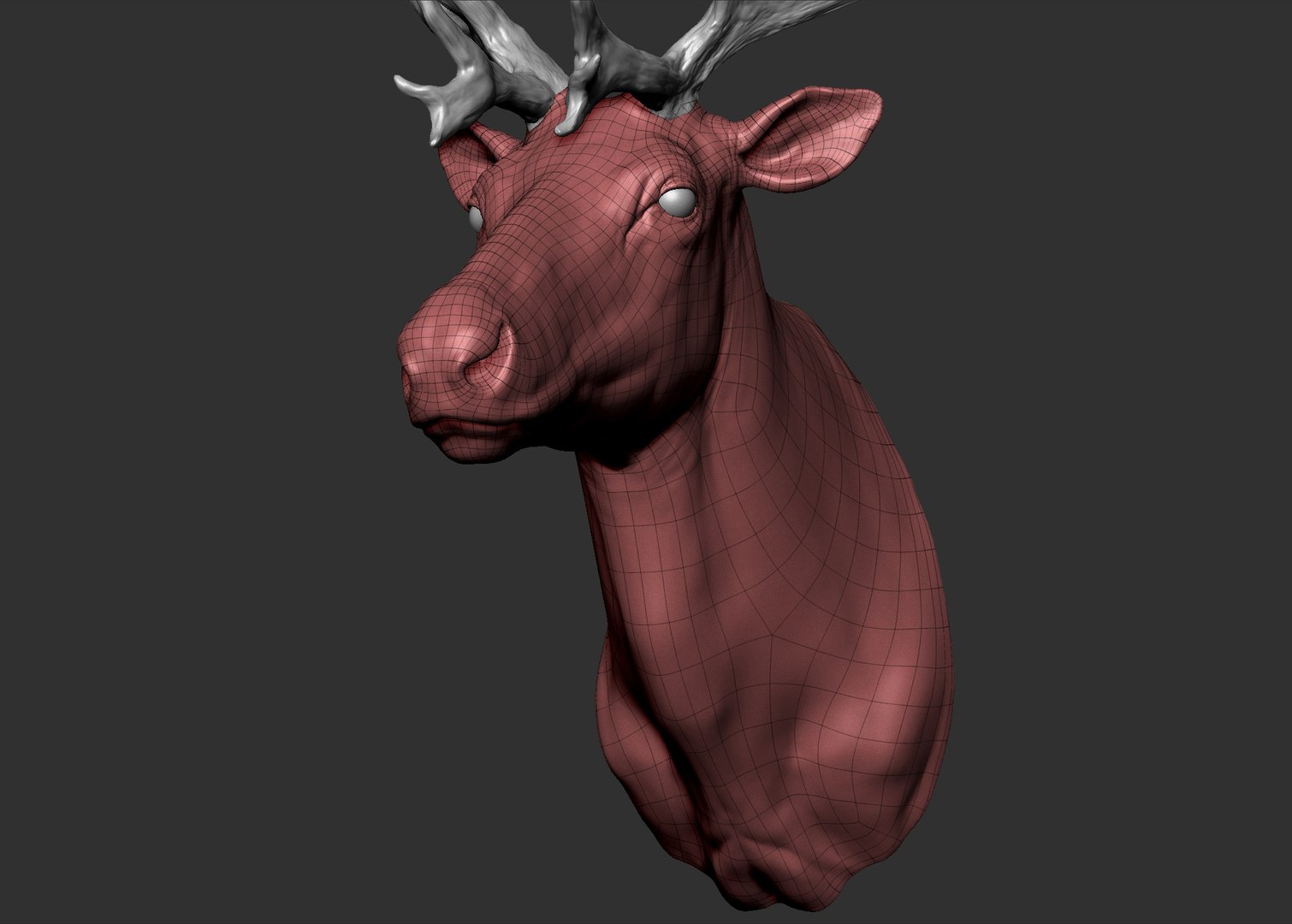 3D Reindeer Head - TurboSquid 1426280
