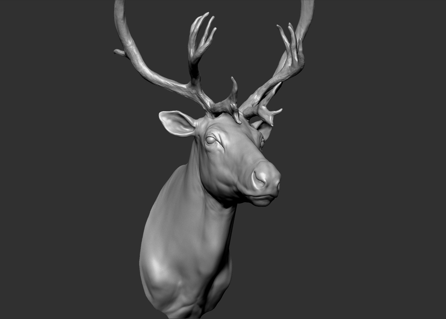 3D Reindeer Head - TurboSquid 1426280