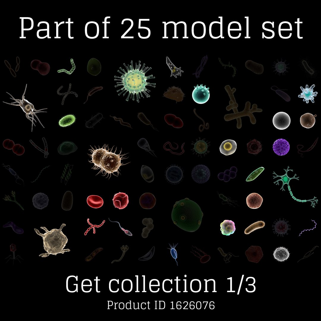 Microbes Micro Organisms 3D Model - TurboSquid 1626087
