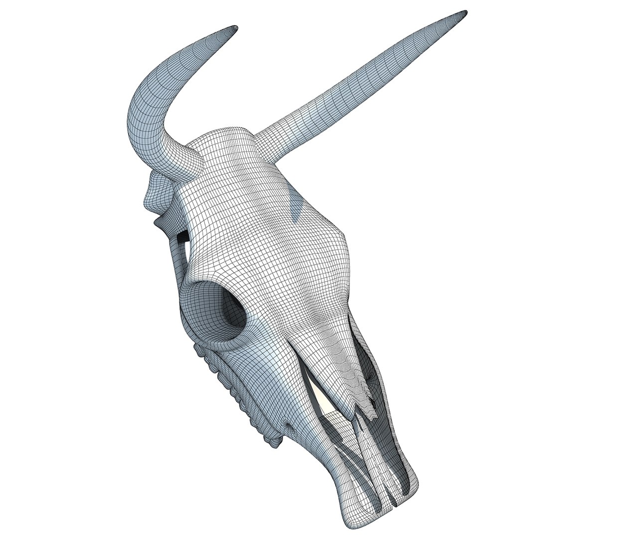 Cow Skull Model - TurboSquid 1177756
