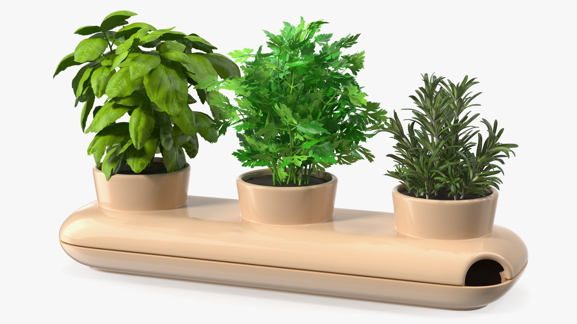 3D Ceramic Trio Pot With Herbs Sagaform Beige Model - TurboSquid 2216753