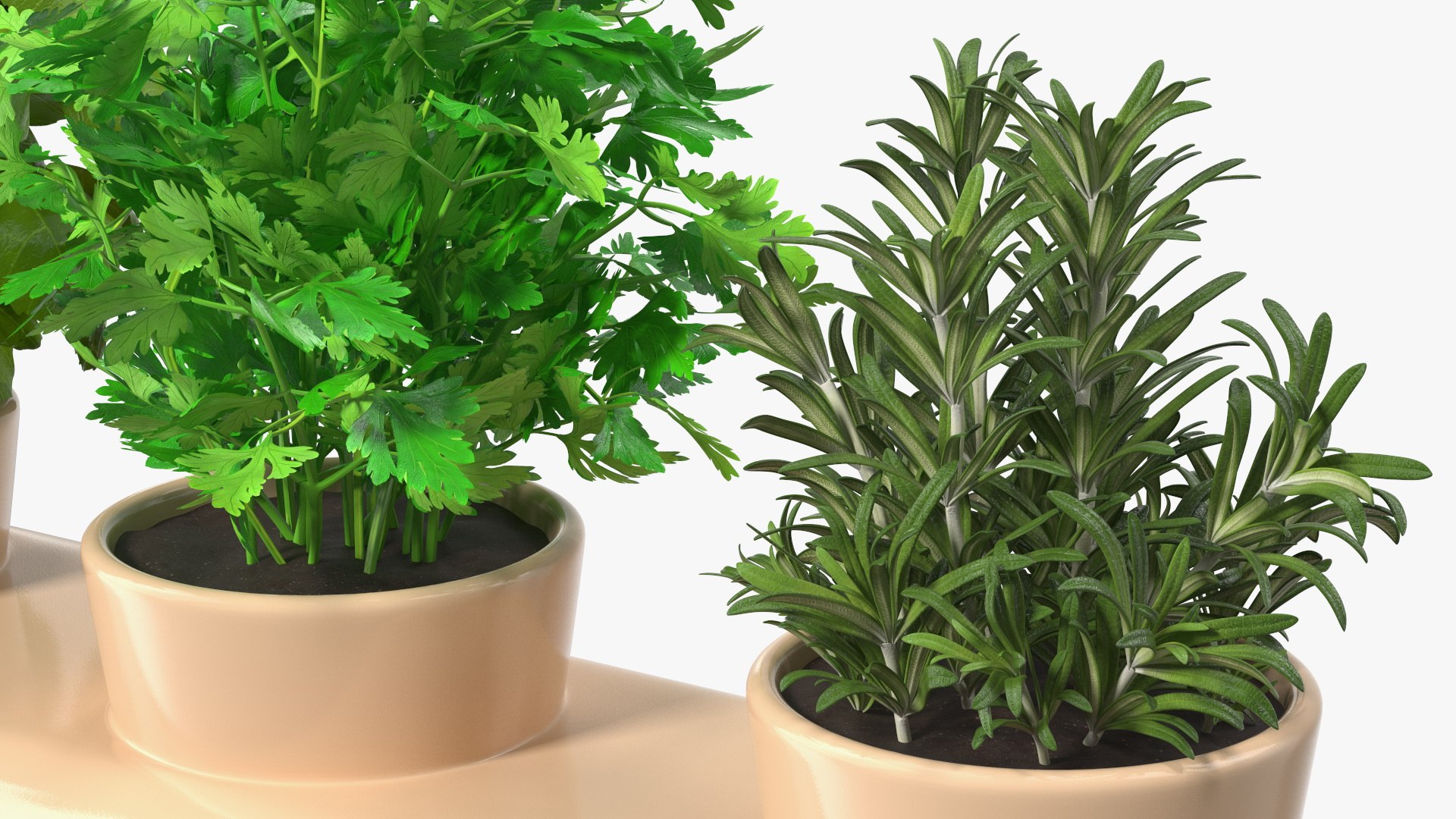 3D Ceramic Trio Pot With Herbs Sagaform Beige Model - TurboSquid 2216753