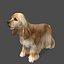 Model S Dog Cocker Spaniel