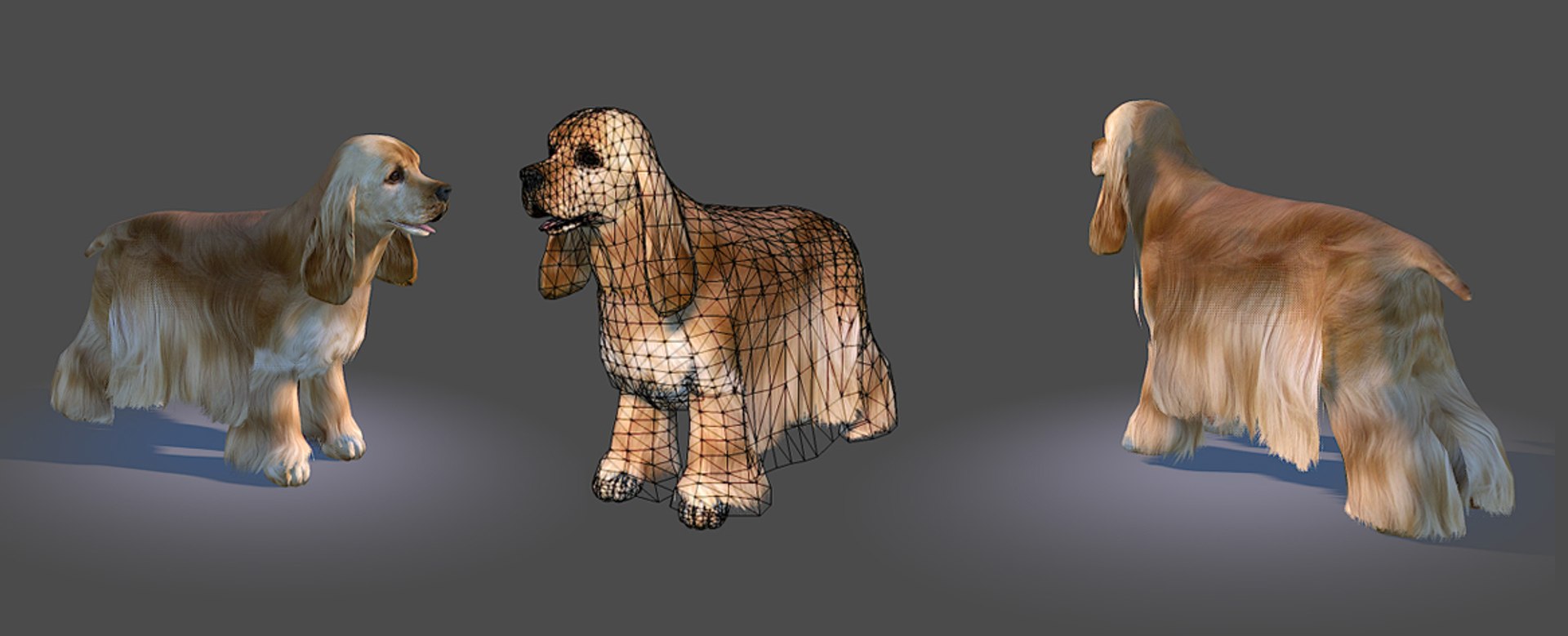 Model S Dog Cocker Spaniel