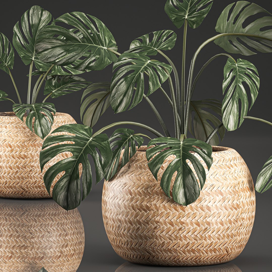 Decorative monstera interior basket 3D - TurboSquid 1593969
