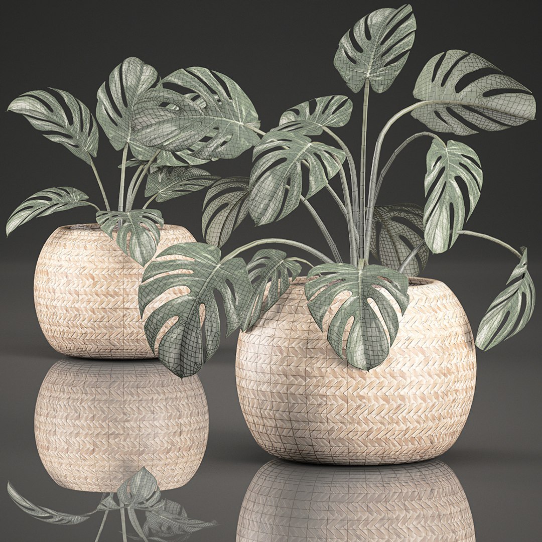 Decorative monstera interior basket 3D - TurboSquid 1593969