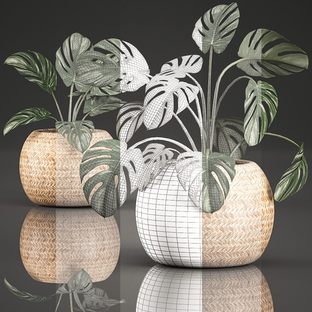 Decorative monstera interior basket 3D - TurboSquid 1593969