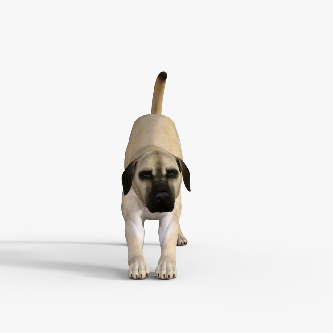 3D Realistic Sheepdog Rigged - TurboSquid 2180159