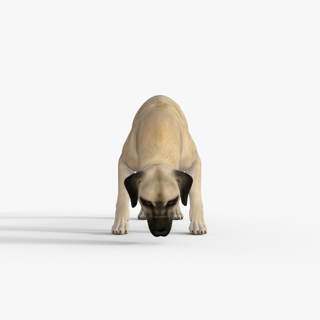 3D Realistic Sheepdog Rigged - TurboSquid 2180159