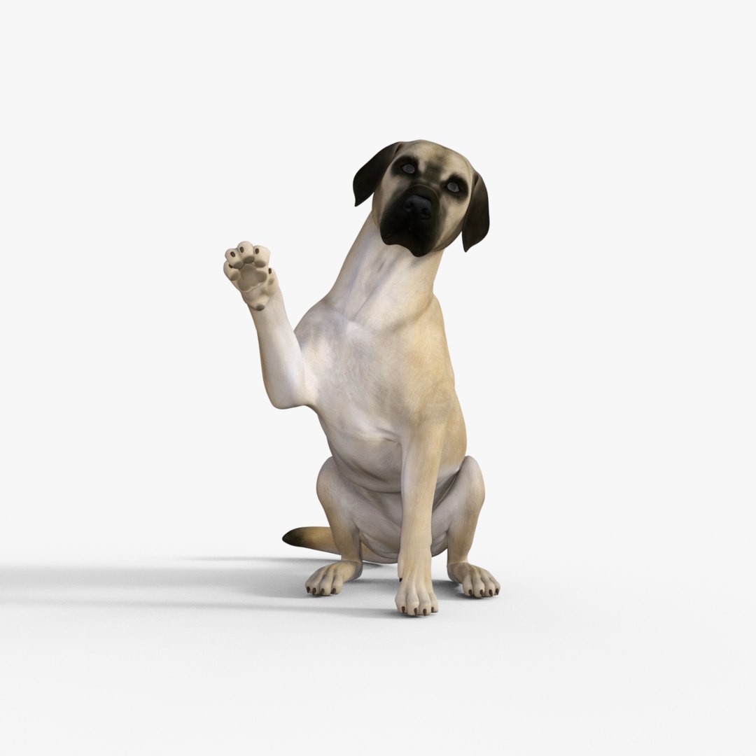 3D Realistic Sheepdog Rigged - TurboSquid 2180159