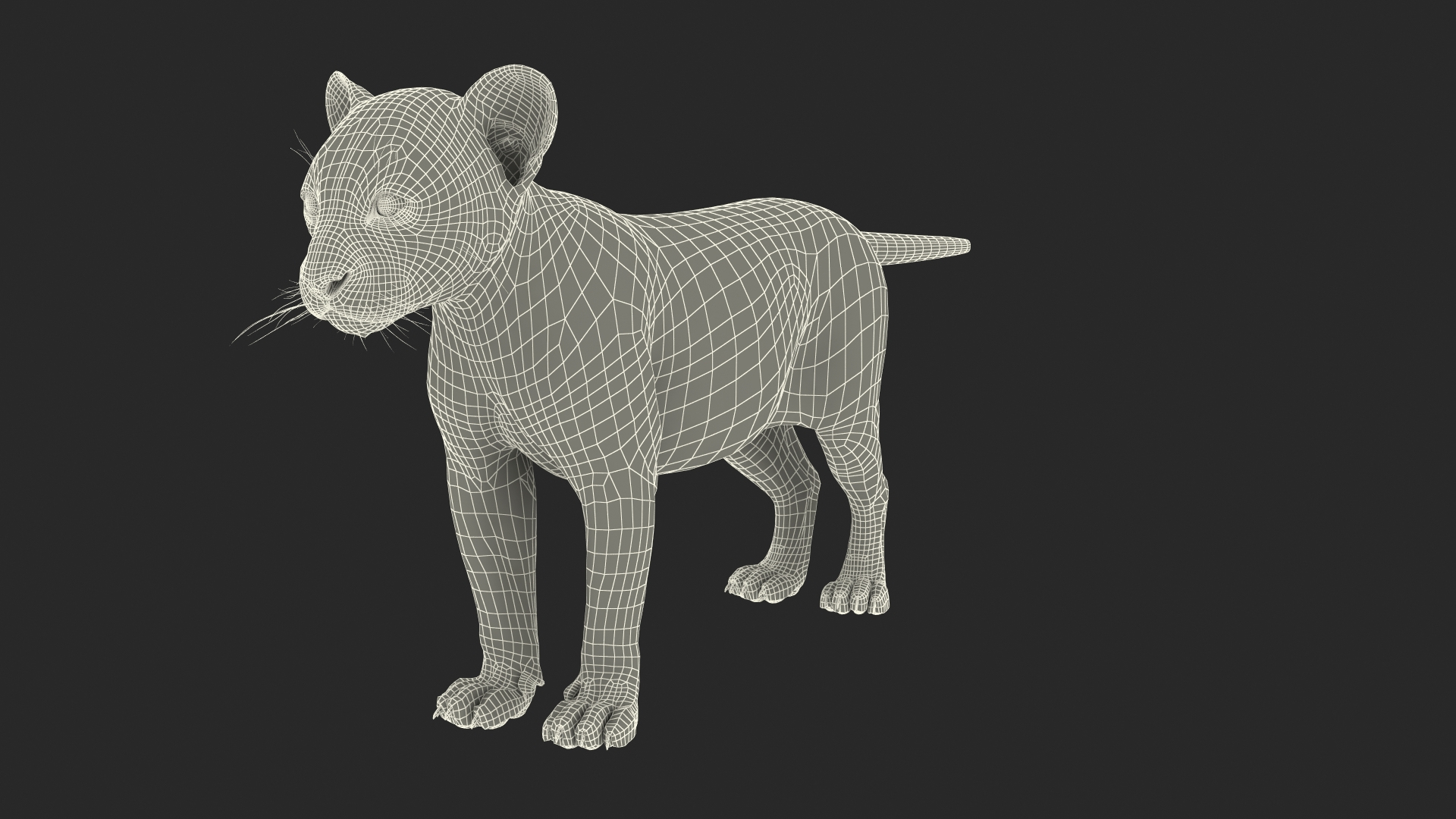 modelo 3d Cachorro de pantera jugando con una simulación animada ...