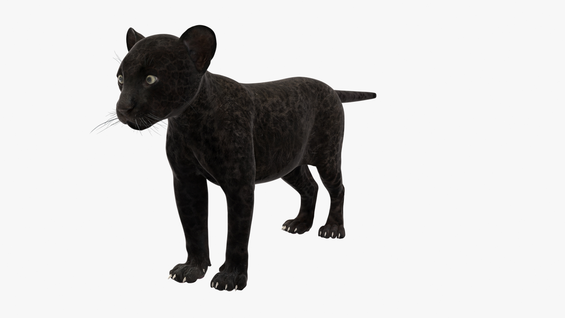 modelo 3d Cachorro de pantera jugando con una simulación animada ...