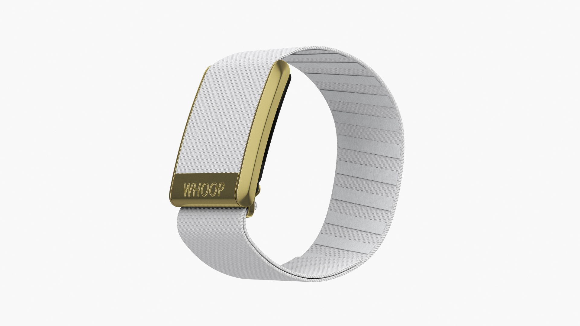 Fitness Tracker Whoop 4 White Rigged Model - TurboSquid 2117233