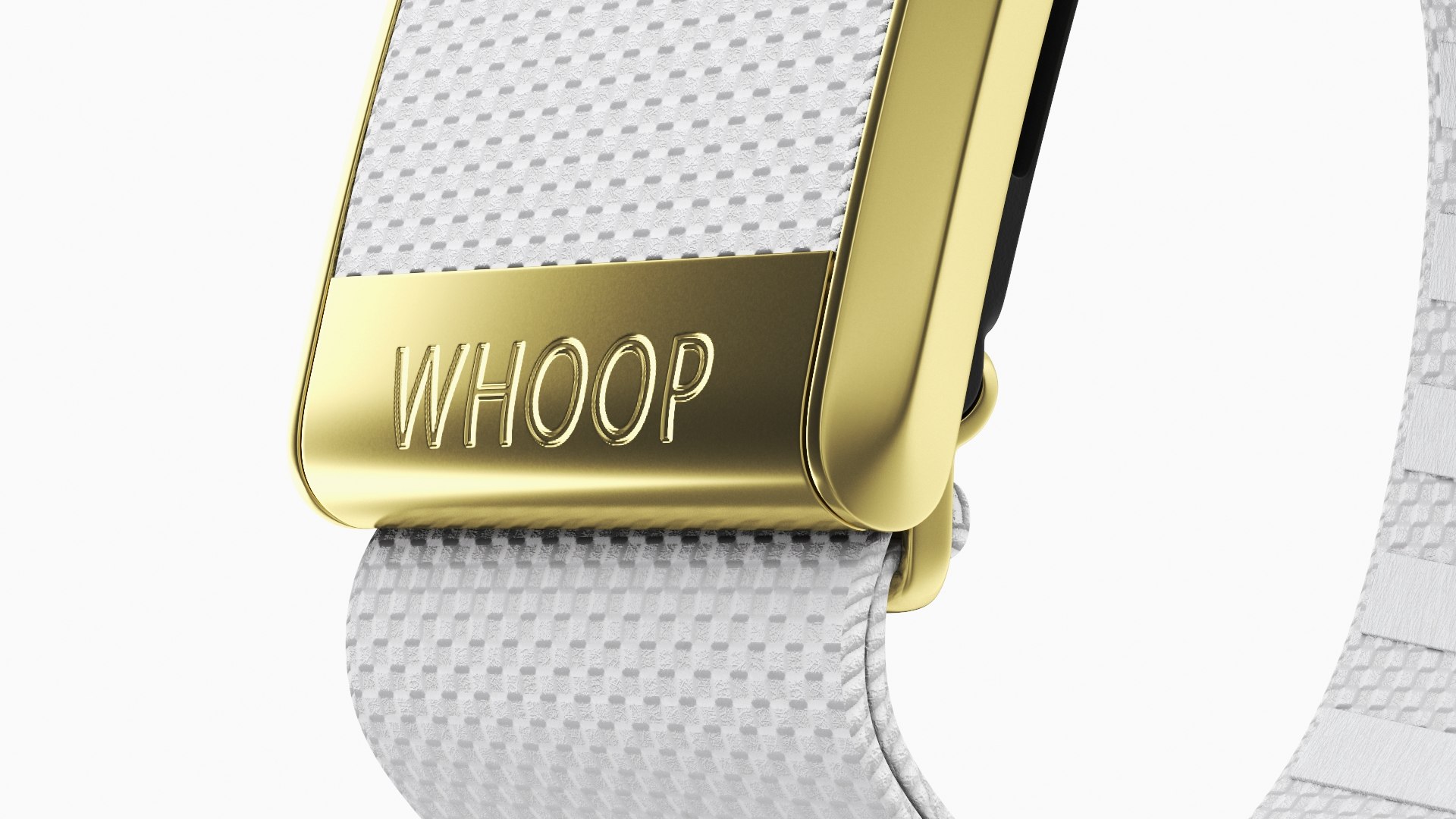 Fitness Tracker Whoop 4 White Rigged Model - TurboSquid 2117233