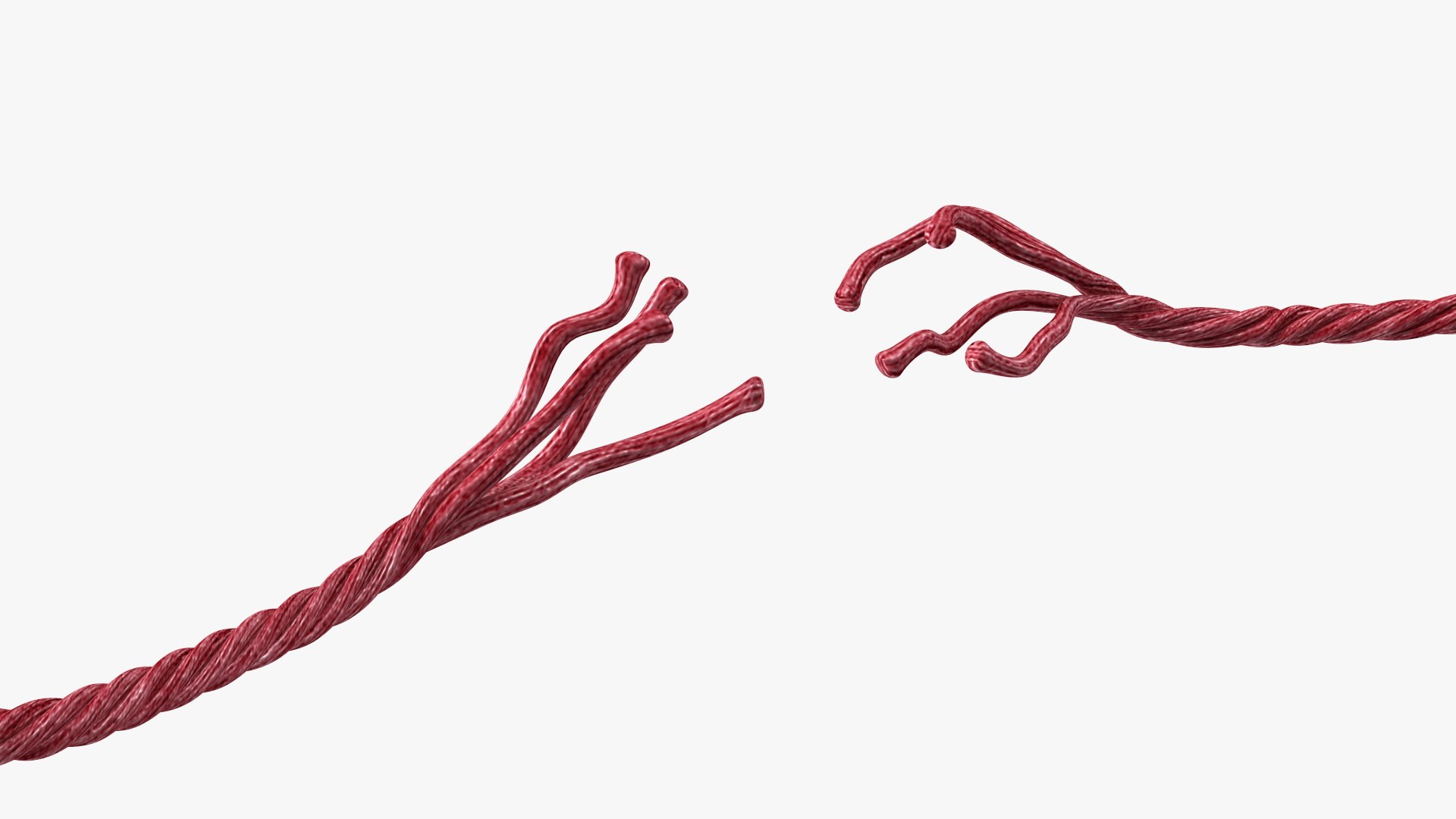 3D Tin Can Phone With Torn String Model - TurboSquid 1841236