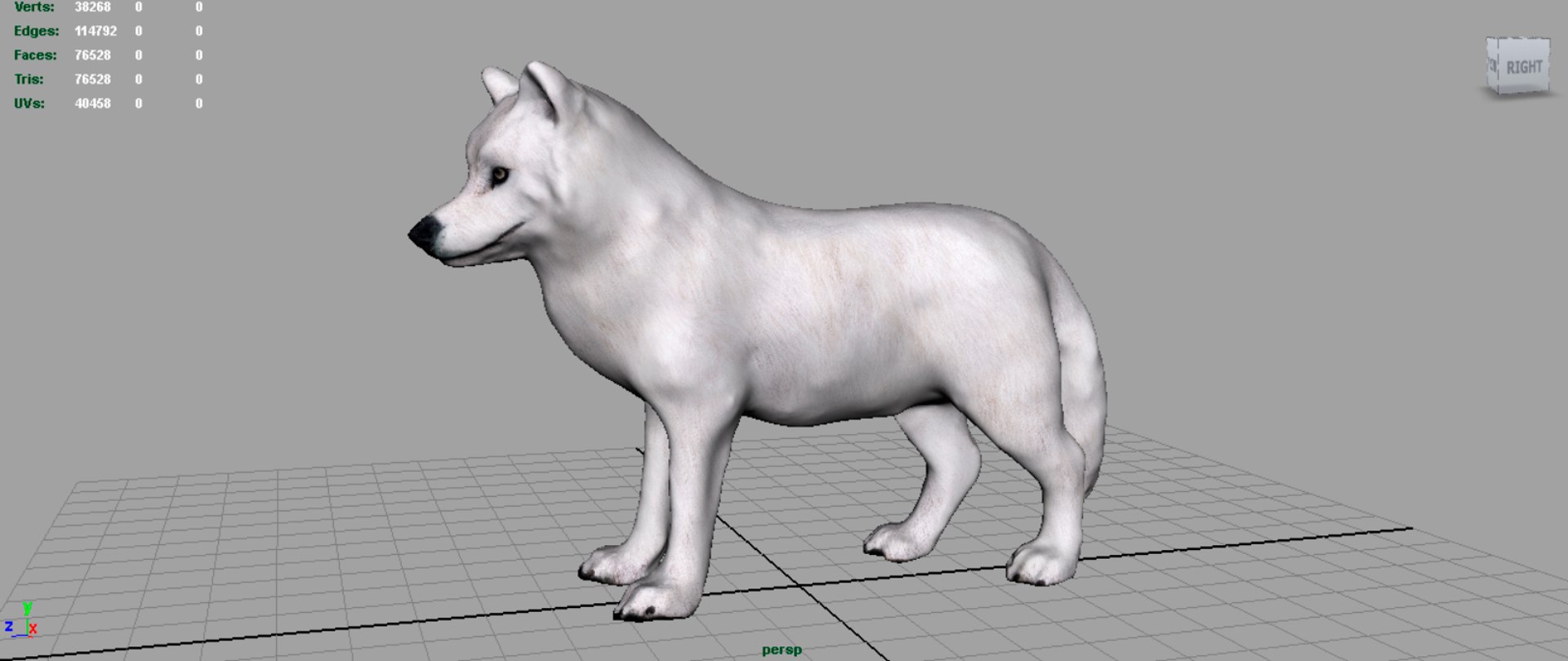 Artic wolf model | 1144523 | TurboSquid