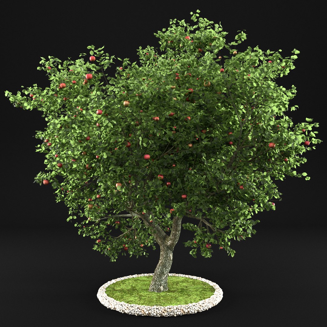 3D apple tree - TurboSquid 1159250