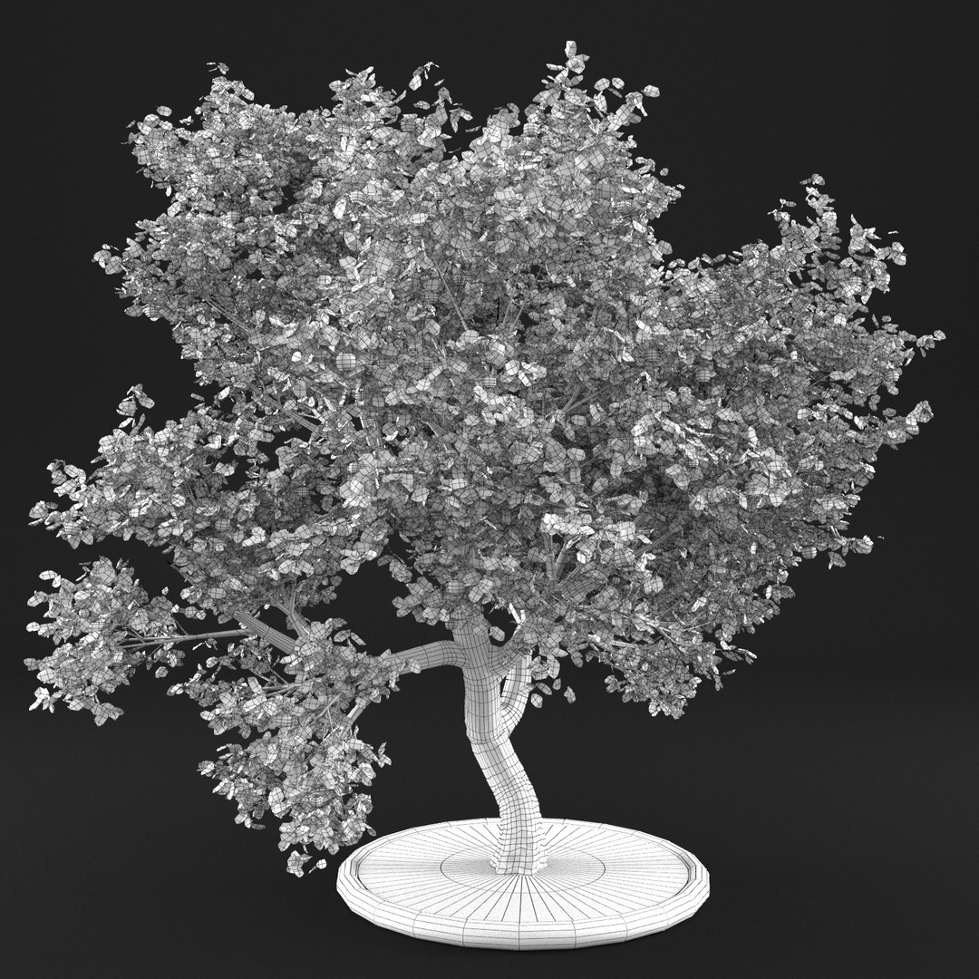 3D apple tree - TurboSquid 1159250