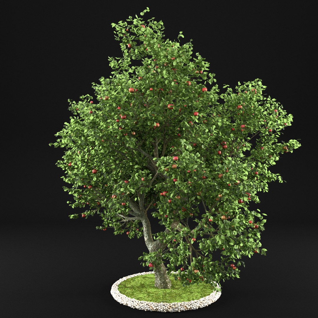 3D apple tree - TurboSquid 1159250