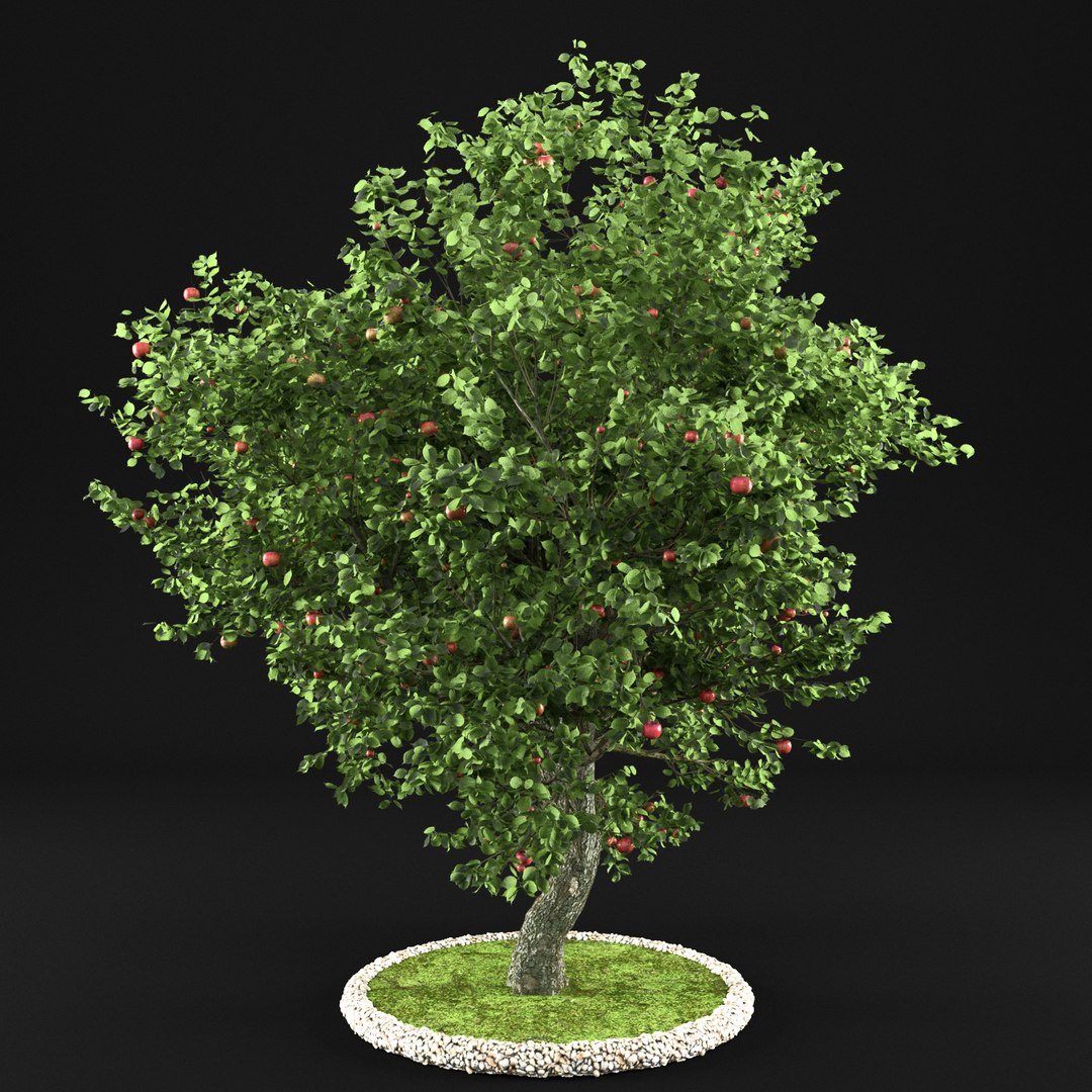 3D apple tree - TurboSquid 1159250