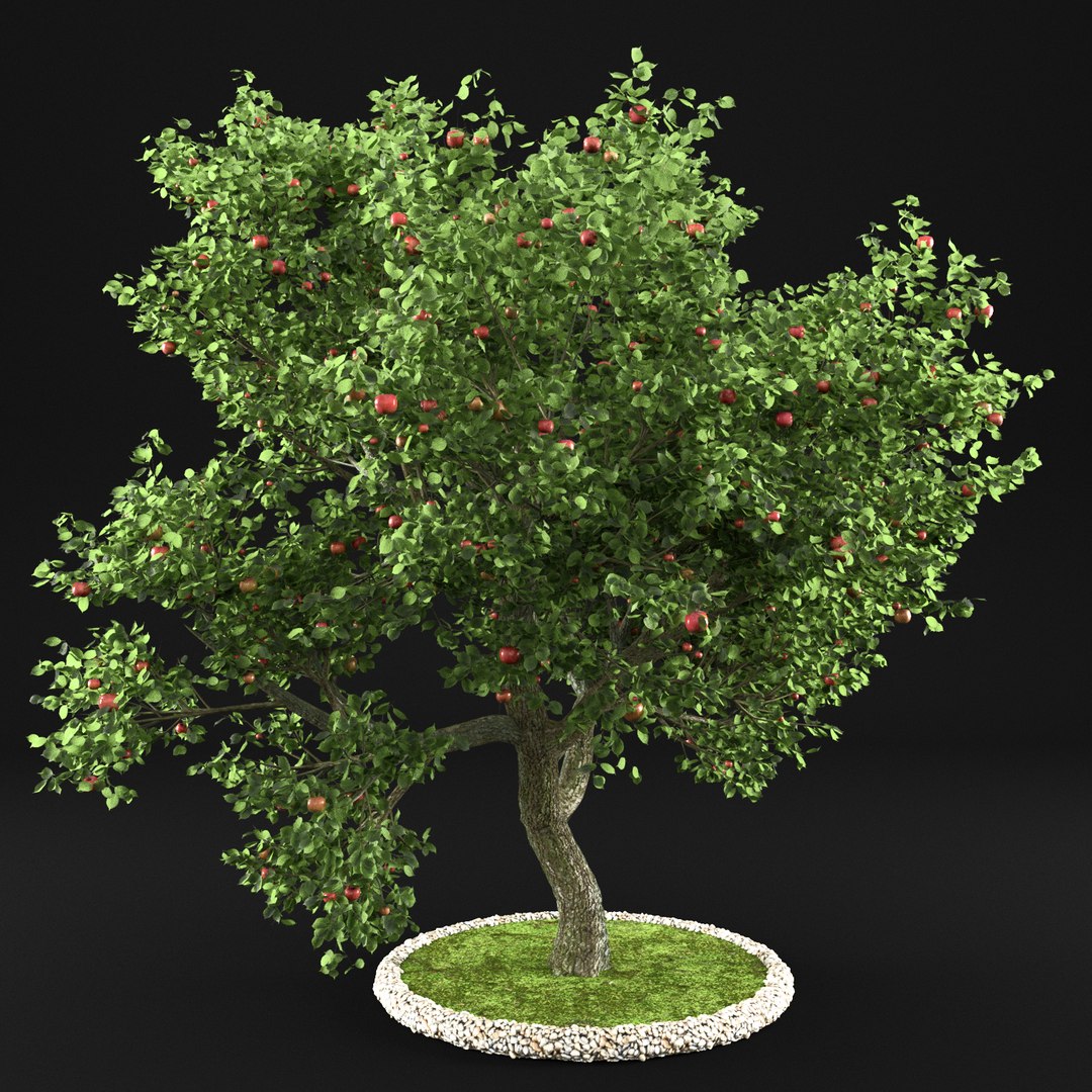 3D apple tree - TurboSquid 1159250