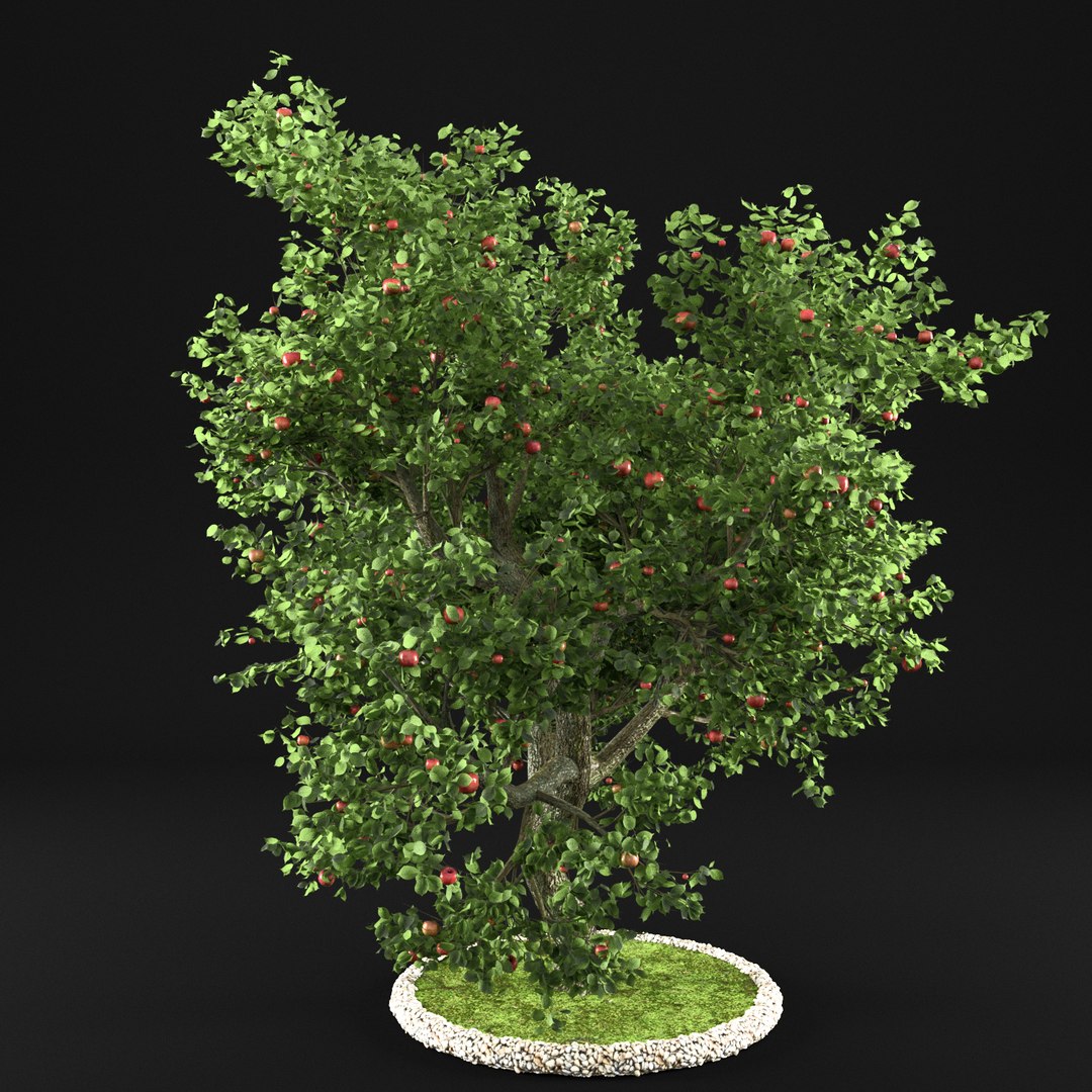 3D apple tree - TurboSquid 1159250