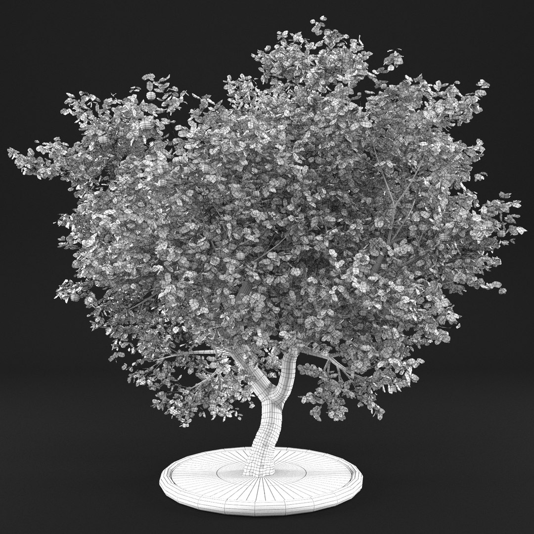 3D apple tree - TurboSquid 1159250