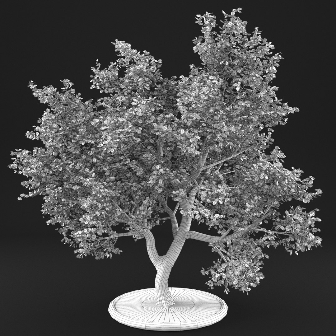 3D apple tree - TurboSquid 1159250