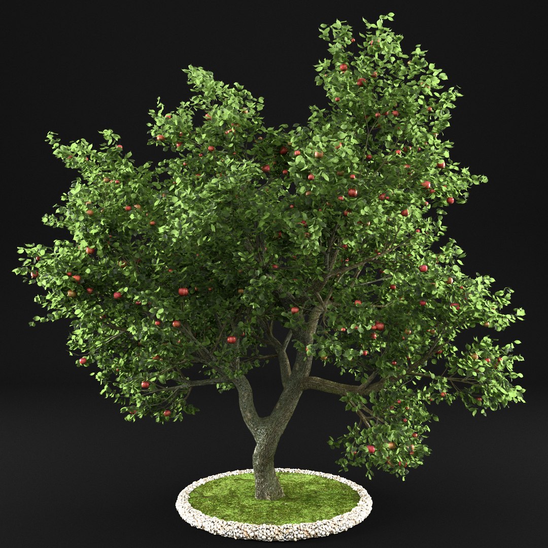 3D apple tree - TurboSquid 1159250