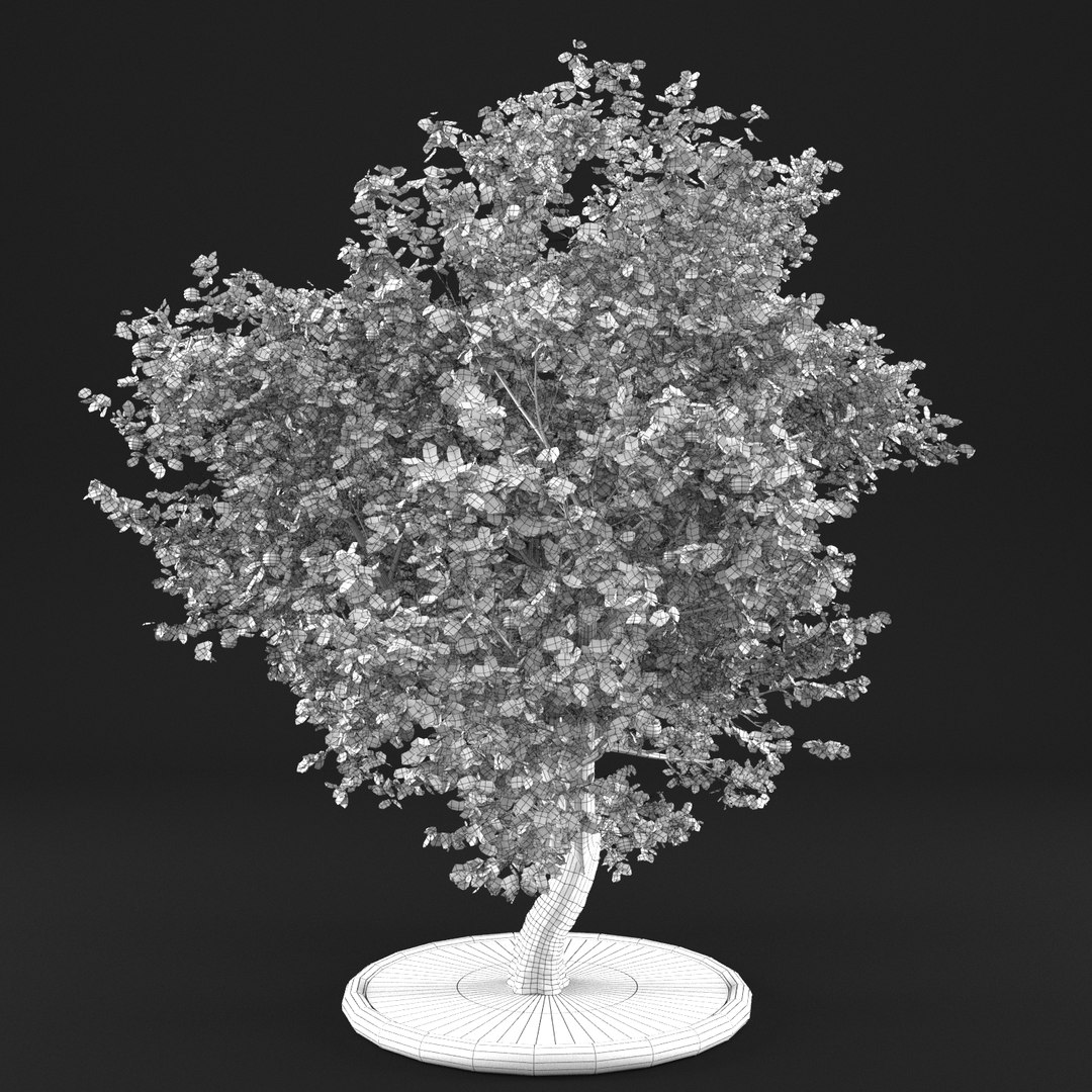 3D apple tree - TurboSquid 1159250