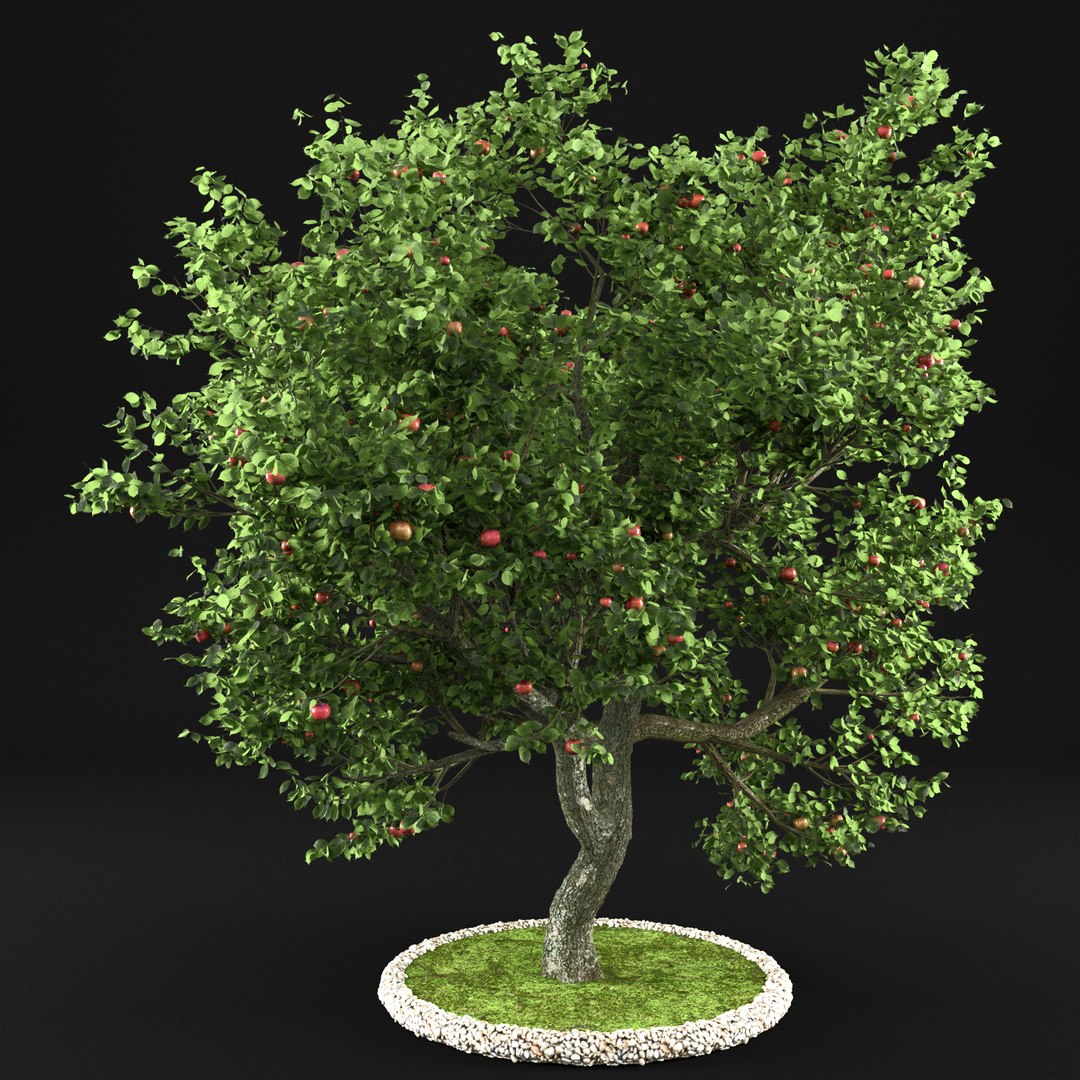 3D apple tree - TurboSquid 1159250