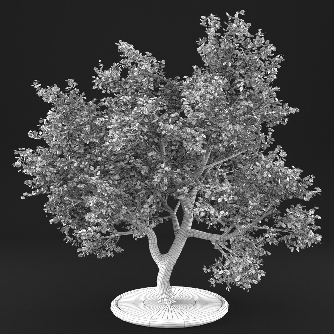 3D apple tree - TurboSquid 1159250
