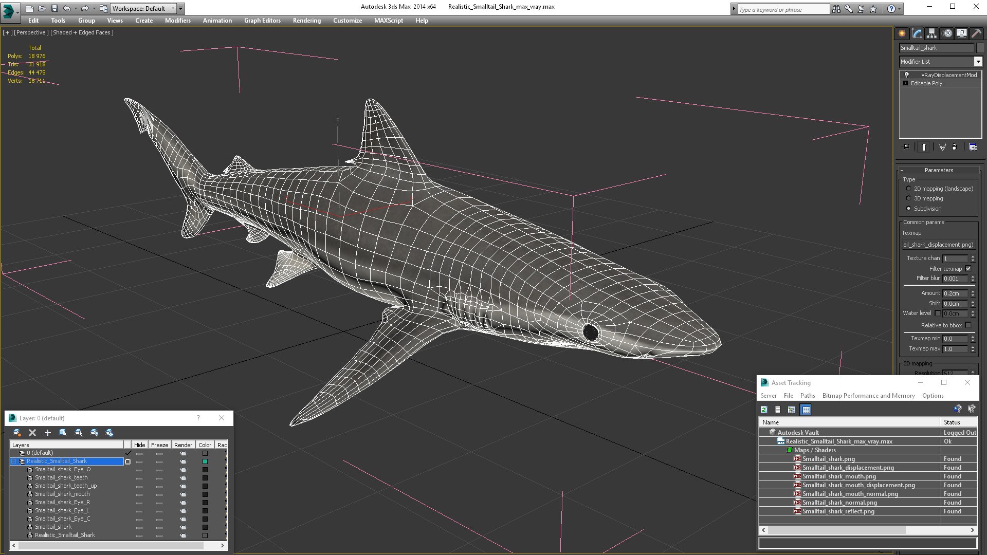 Realistic Smalltail Shark 3D Model - TurboSquid 2246813