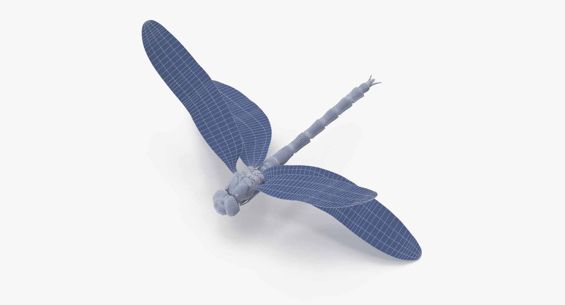 3d Model Dragonfly Pose 02