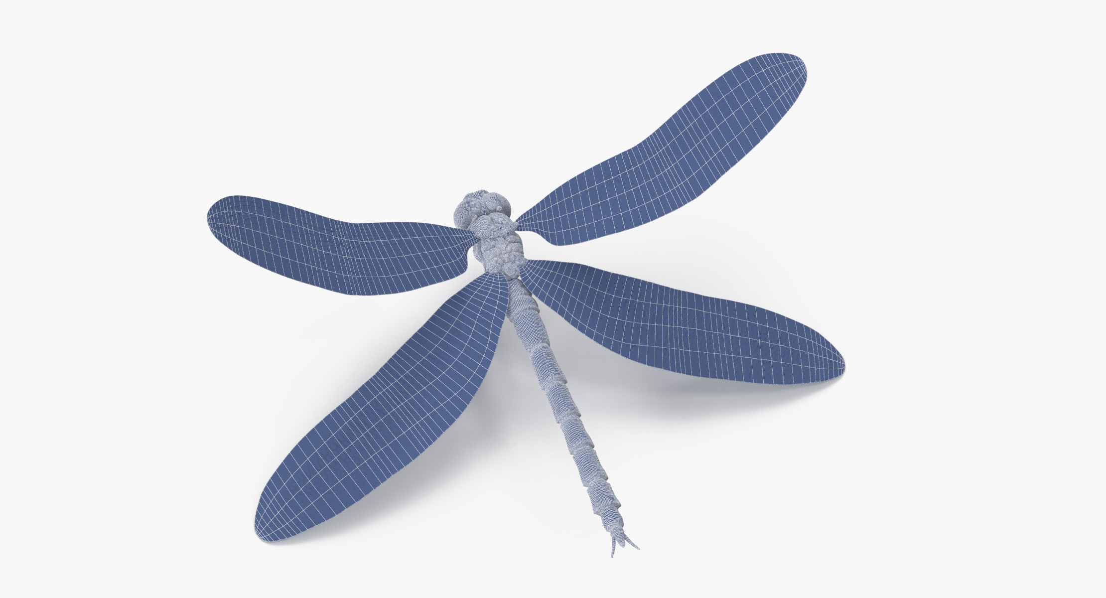 3d model dragonfly pose 02