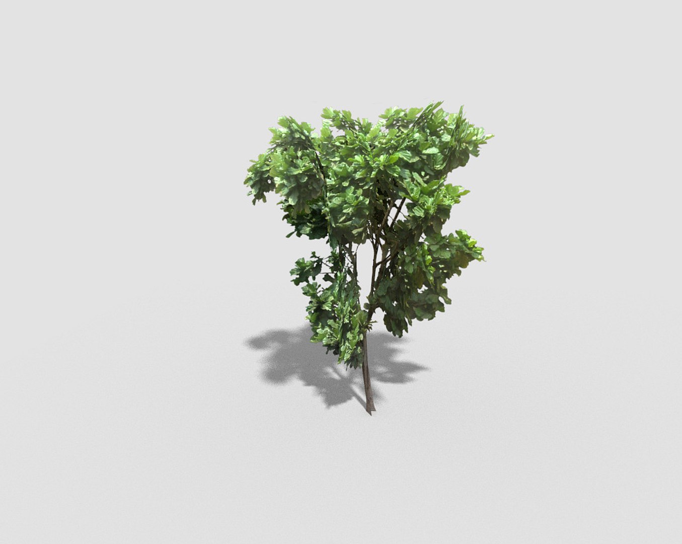 3d Model Games Tree
