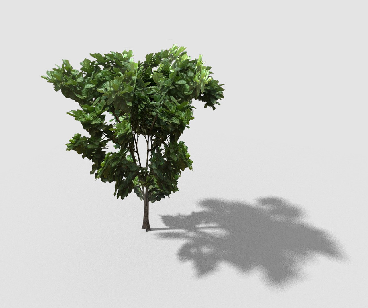 3d Model Games Tree